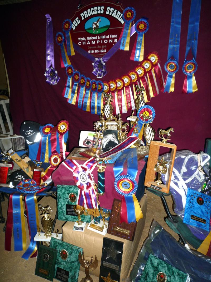 Due Process Stable - International Judge Sandy Croote Having judged ...